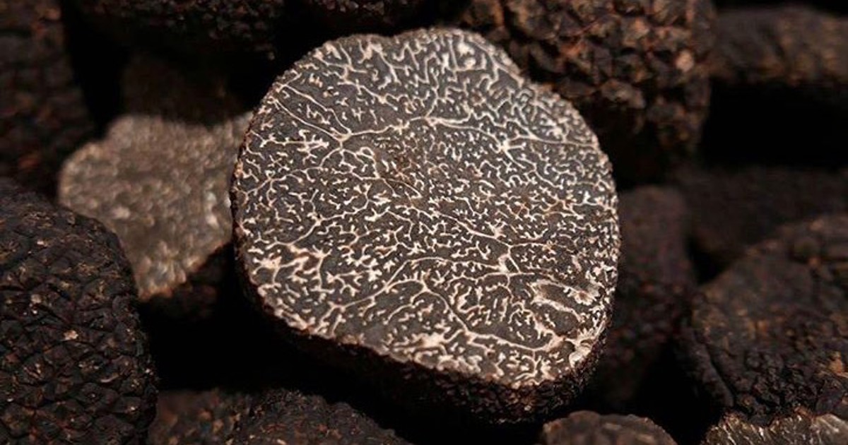 Truffle Season Returns to South Melbourne Market | South Melbourne Market